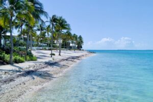 12 Fun Spring Break Destinations In Florida For College Students