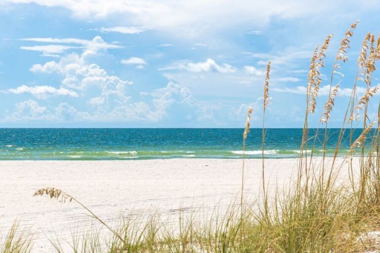 12 Fun Spring Break Destinations In Florida For College Students