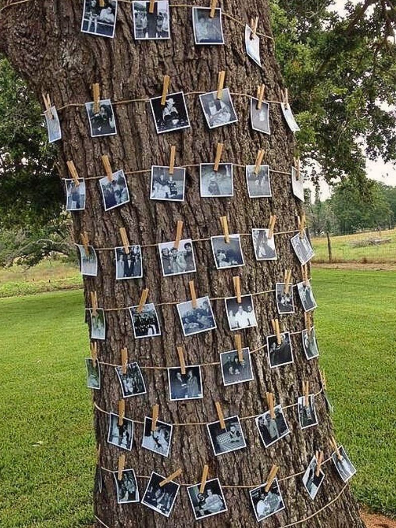 9 Cutest Graduation Party Photo Display Ideas